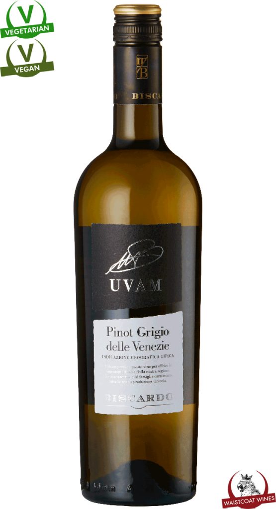 Pinot Grigio delle Venezie Mabis Biscardo Uvam IGT Veneto Italy 2023 Waistcoat Wines Wine Delivery