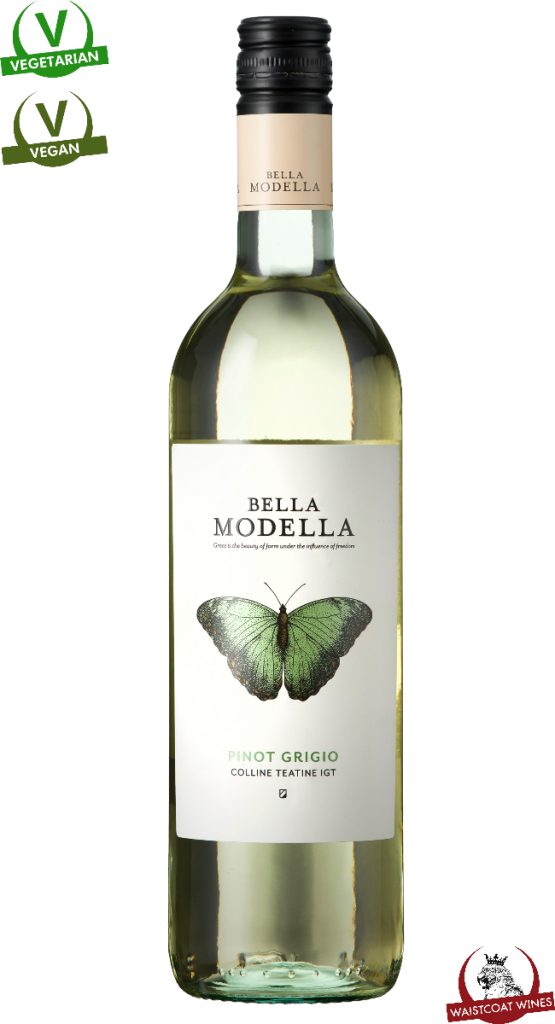 Bella Modella, Pinot Grigio, Terre de Chieti IGT, Abruzzo, Italy, 2021 ...